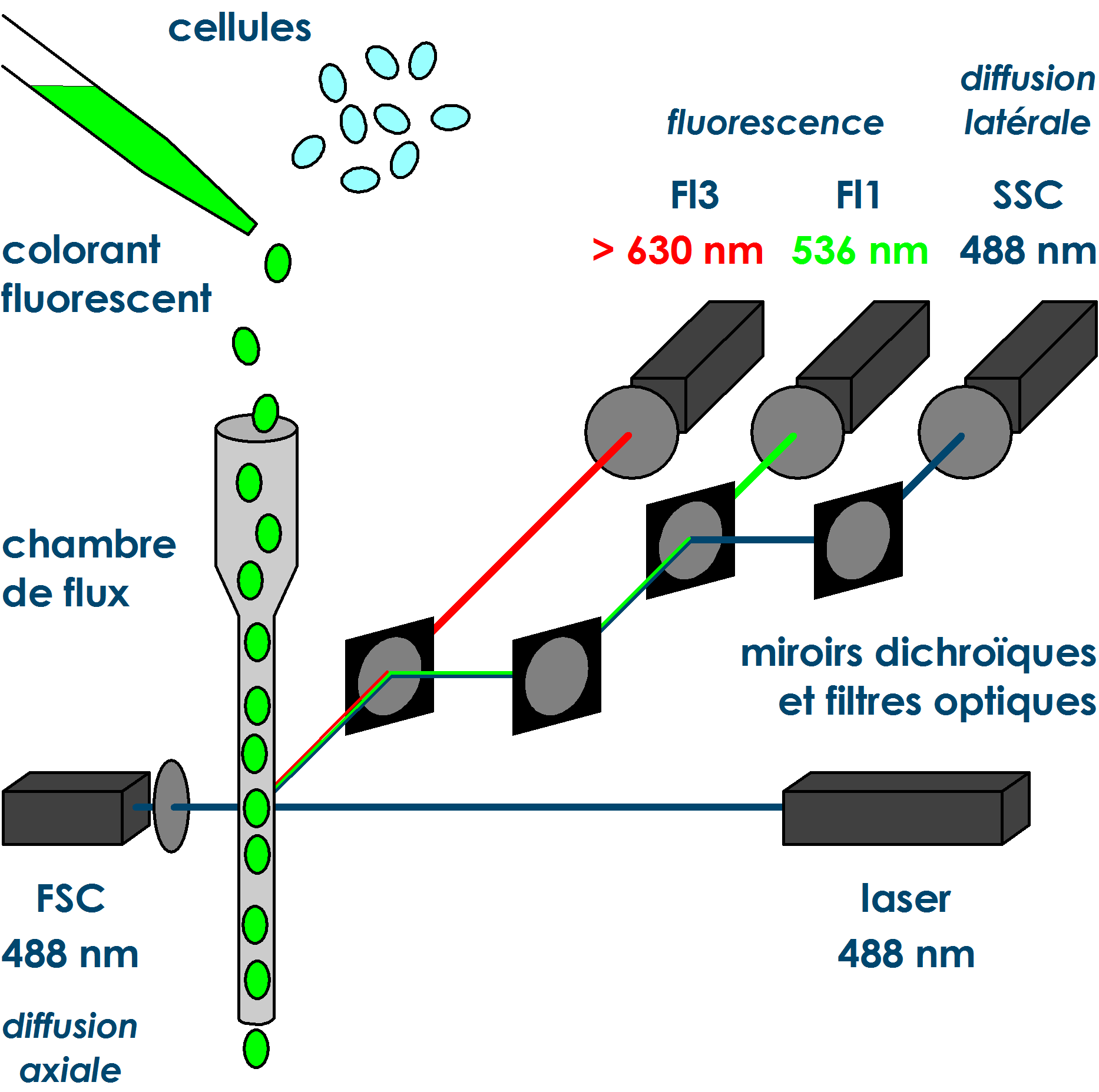 fcm-lab Sàrl microbiologie de l’eau